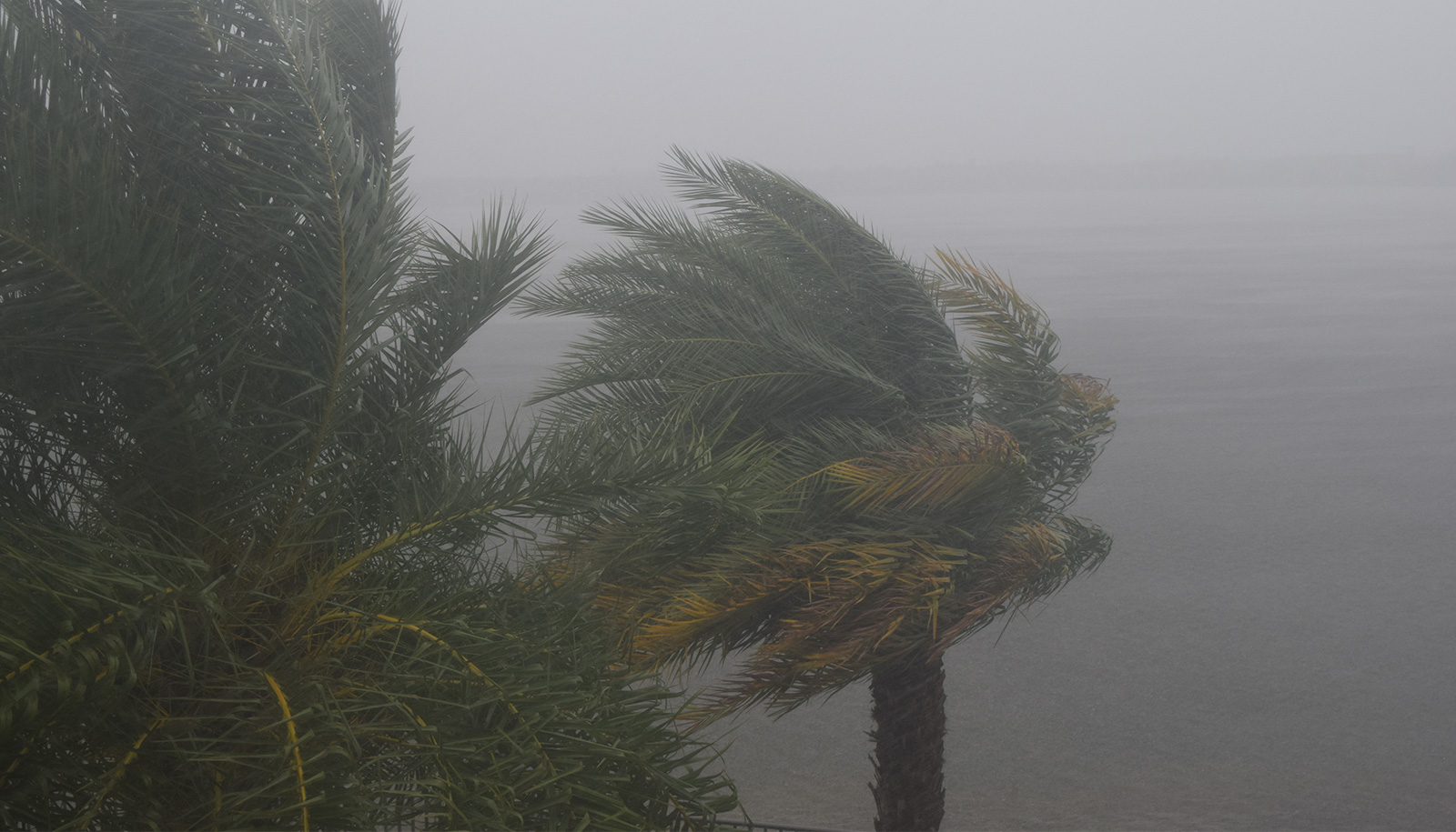 What Is A Windstorm What Is A Windstorm